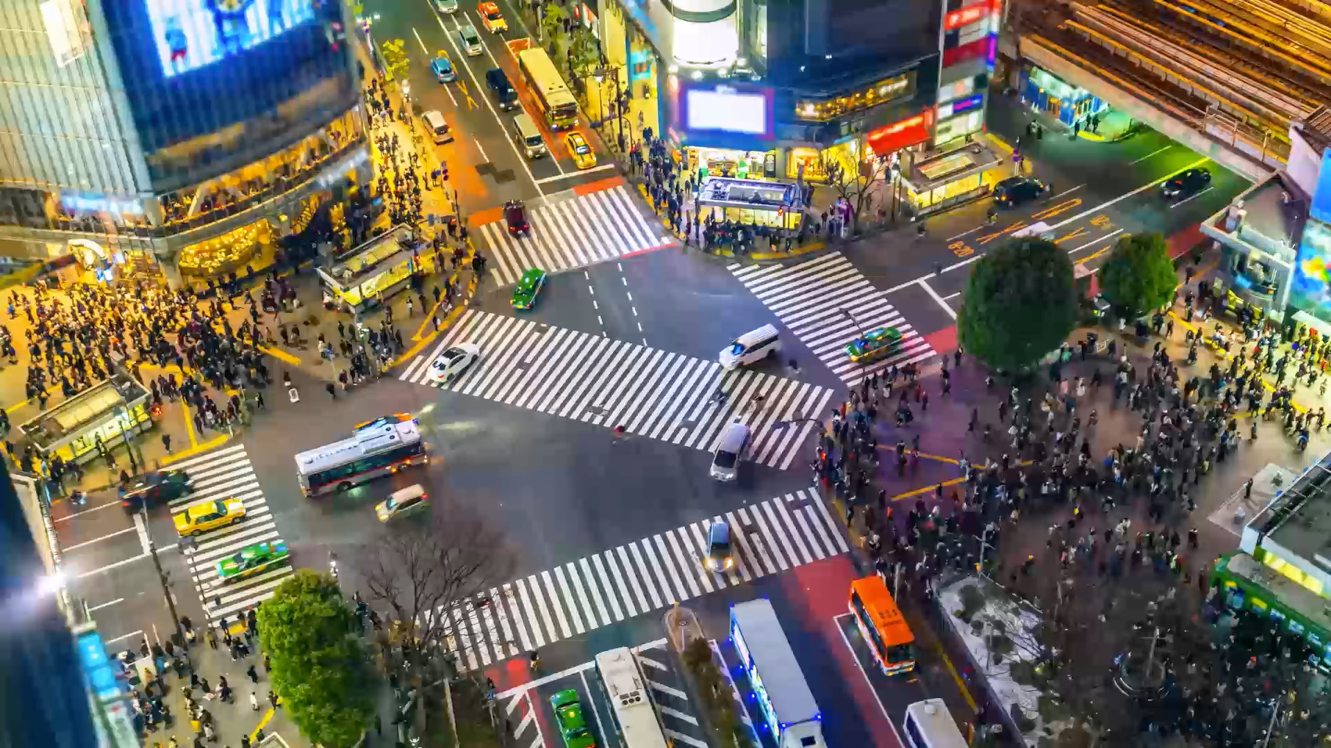 Ward Howell International